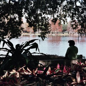 filmgrain | DPReview Forums