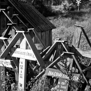 triptych | DPReview Forums