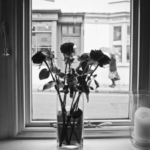 lyminge | DPReview Forums