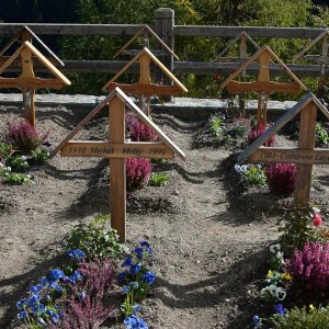 alpine-culture | DPReview Forums