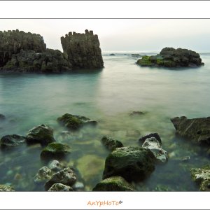 apolonia | DPReview Forums