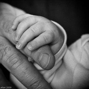 callum | DPReview Forums