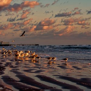 Sunrise, Daytona Beach | DPReview Forums