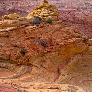 sw 20-1 copy | DPReview Forums