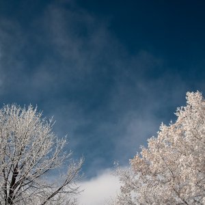 around-the-yard | DPReview Forums