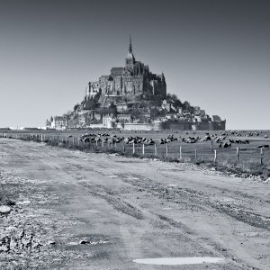 lyminge | DPReview Forums