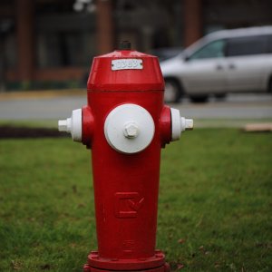 Rehydrant | DPReview Forums