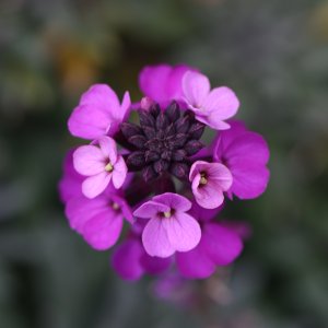 Walk in the Park | DPReview Forums