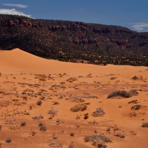 coral-pink-sand-dunes | DPReview Forums