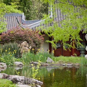 pond-1 | DPReview Forums