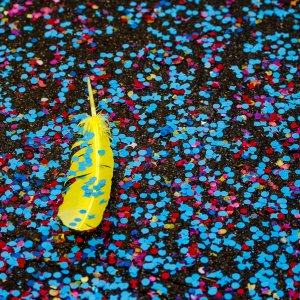 Challenge - Litter InTheMist-1 | DPReview Forums