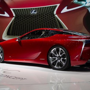 Challenge - Litter InTheMist-1 | DPReview Forums