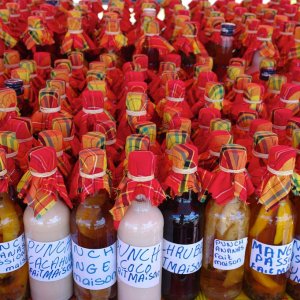 Guadeloupe_palm | DPReview Forums