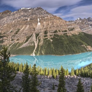 icefields-parkway | DPReview Forums