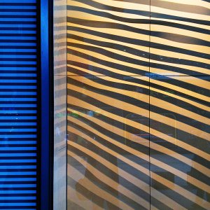 stripe | DPReview Forums