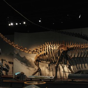 Samsung NX20 Image Samples | DPReview Forums