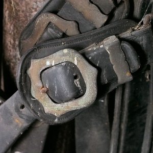 aberlady | DPReview Forums