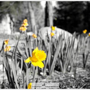 Samsung NX20 Color Picking Shots | DPReview Forums