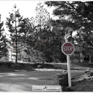 Samsung NX20 Color Picking Shots | DPReview Forums