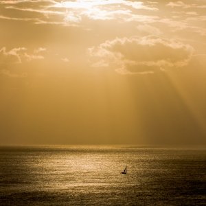 brands | DPReview Forums