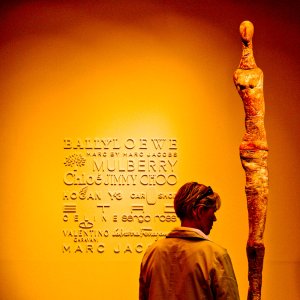 brands | DPReview Forums