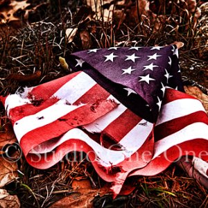 stripe | DPReview Forums