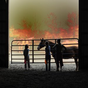 _KVG0349 - Heaven - IndyFlickrMeetup - Horse Barn | DPReview Forums