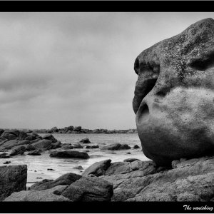 PICT7295-nb-1-p | DPReview Forums