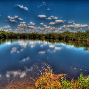 high-water | DPReview Forums