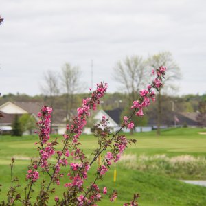 from-deck | DPReview Forums