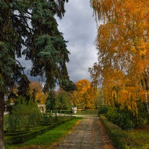 garden-of-roses | DPReview Forums