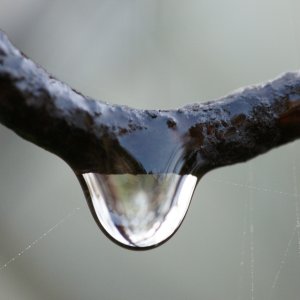 attica | DPReview Forums