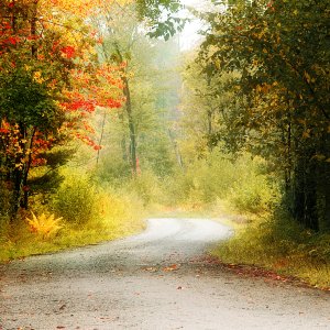 autumn-road | DPReview Forums