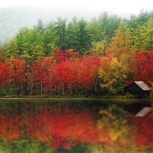 autumn-road | DPReview Forums