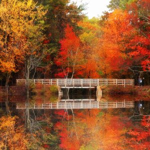 autumn-road | DPReview Forums