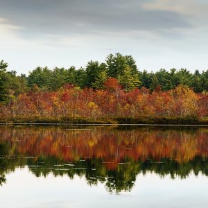 autumn-road | DPReview Forums