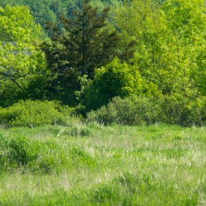 The View From Our Deck_-2 | DPReview Forums