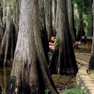 Alone | DPReview Forums