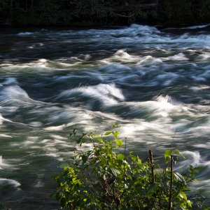 12-50 | DPReview Forums