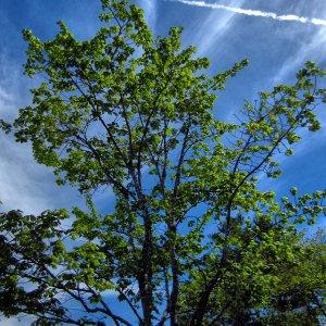 Great Barren 033 | DPReview Forums