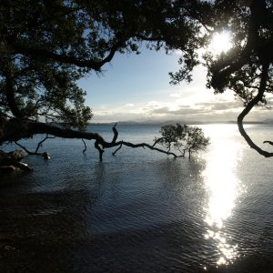 e510 | DPReview Forums