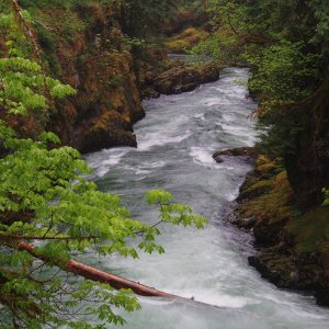 12-50 | DPReview Forums