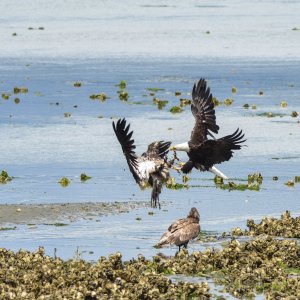 Seabeck, Wa D800 | DPReview Forums