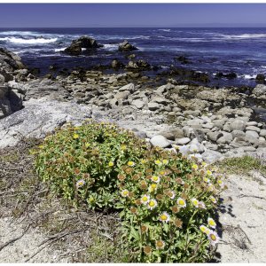 Monterey 17 mile road | DPReview Forums
