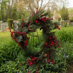 SAM_4584 | DPReview Forums