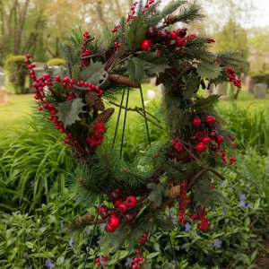 SAM_4584 | DPReview Forums