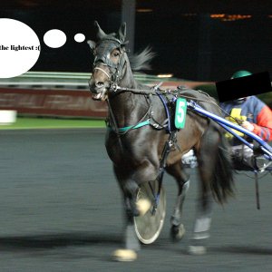 PICT10065-1-cpw-1 | DPReview Forums