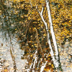 1998 | DPReview Forums