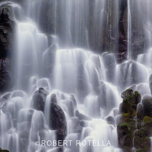 Keeping Watch | DPReview Forums