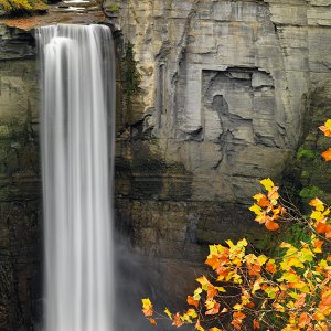 robert-rotella | DPReview Forums